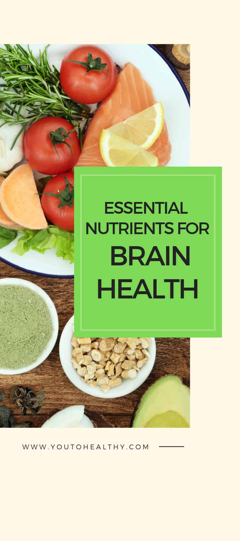 What are the Essential Nutrients for Brain Health? - YOUTOHEALTHY