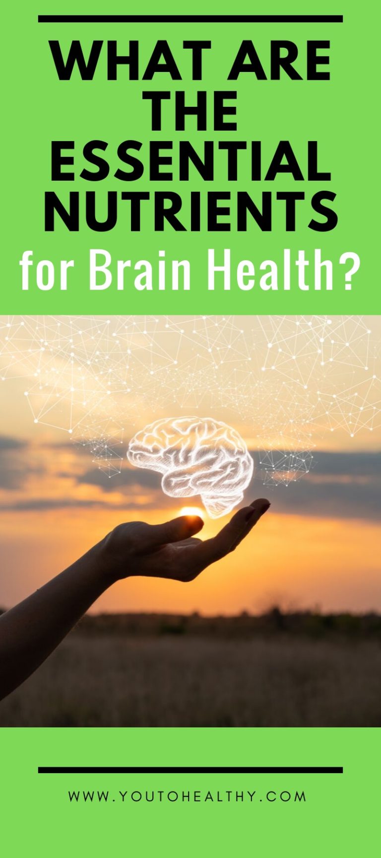 What are the Essential Nutrients for Brain Health? - YOUTOHEALTHY