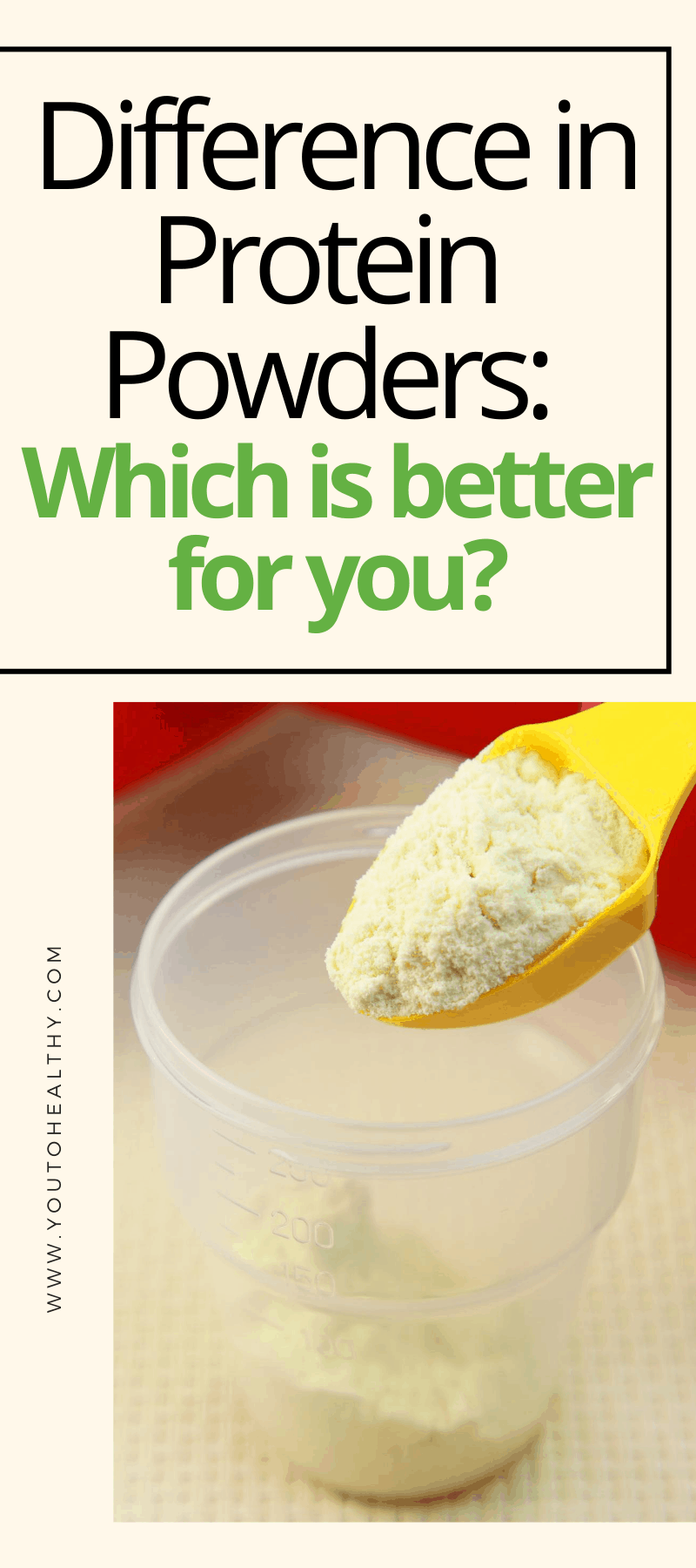 Differences in Protein Powders: Which Is Best for You?